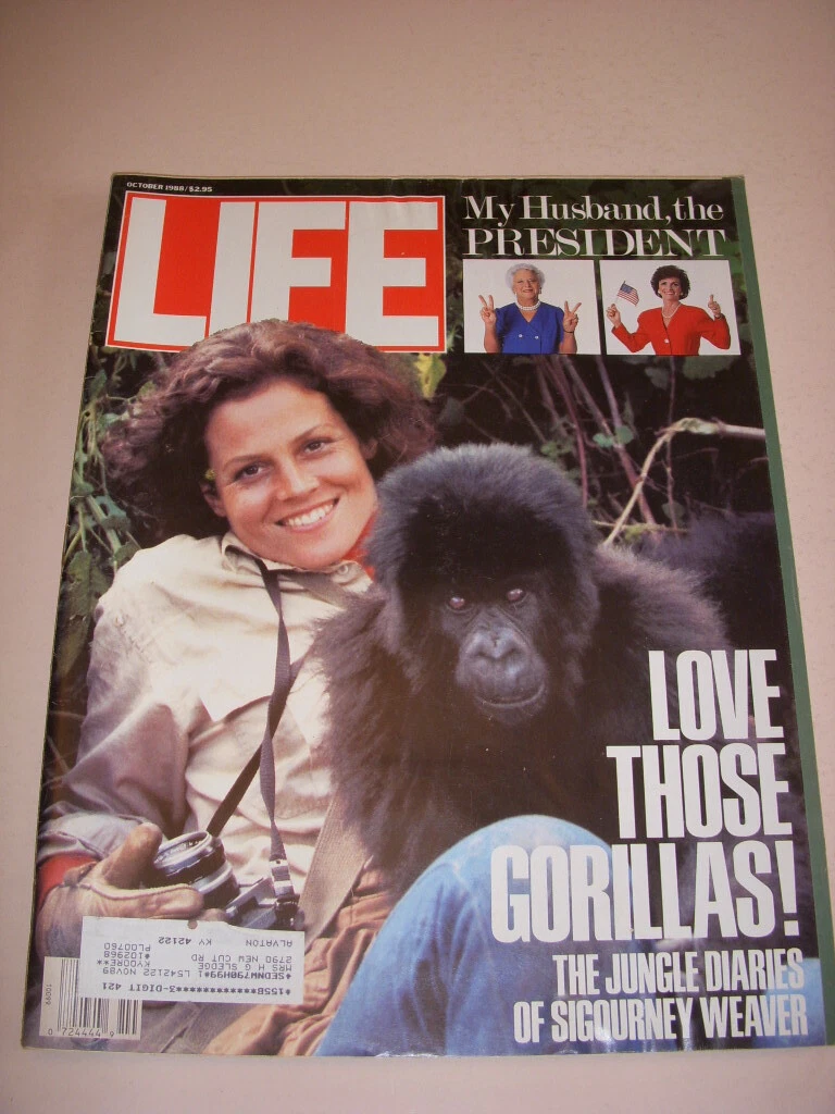 Gorillas In The Mist Digit