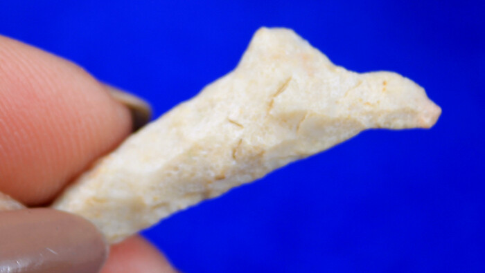 Dalton Drill Authentic Prehistoric Arrowhead Artifact Native American Indian | eBay