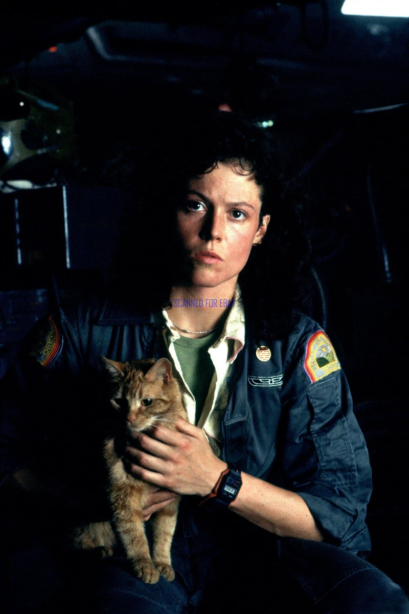 Ellen Ripley Cat