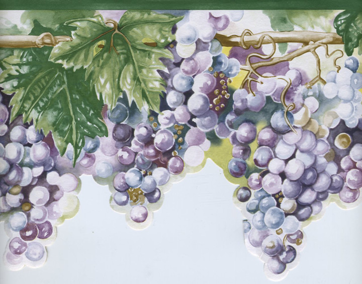 Purple Grape Vine Border