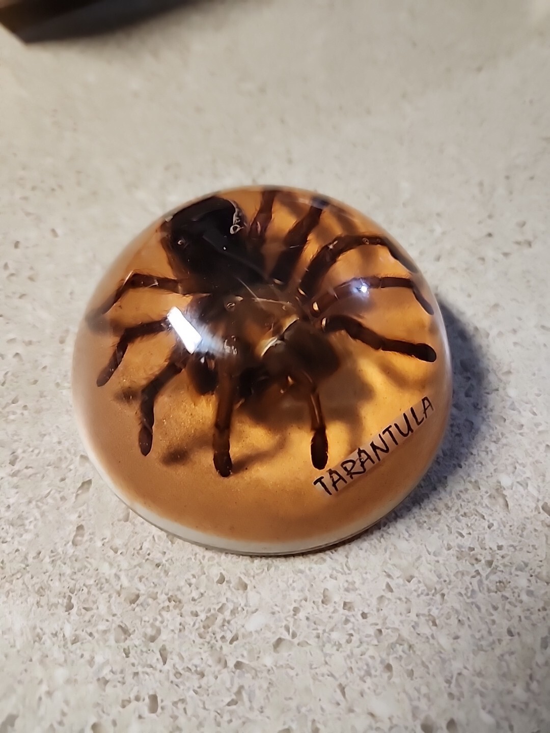 Vintage Tarantula Lucite 4" Dome Paperweight Acrylic Taxidermy Spider ...