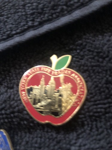 ua local union pins | eBay UK