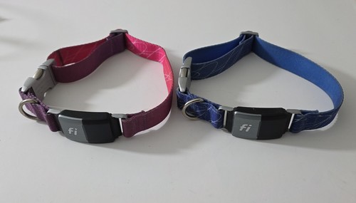 Fi Series 2 GPS Dog Collar FC2B - Choose One Color | eBay