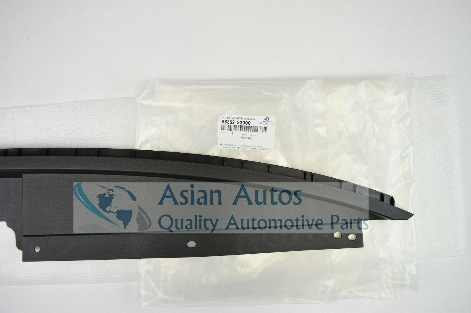 Genuine Hyundai Elantra GT 2.0L 2018-2020 Front Radiator Grille ...