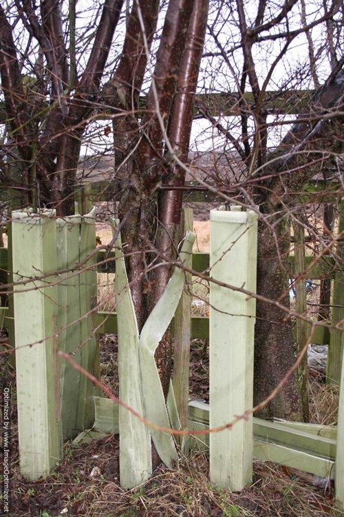 30 X 60CM tree or plant defenders guards to protect from rabbits, hares ...