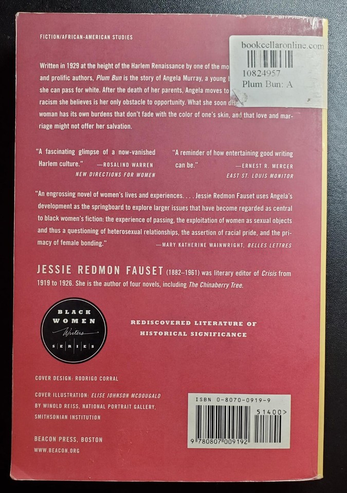 Plum Bun: A Novel Without a Moral- Paperback By Jessie Redmon Fauset ...