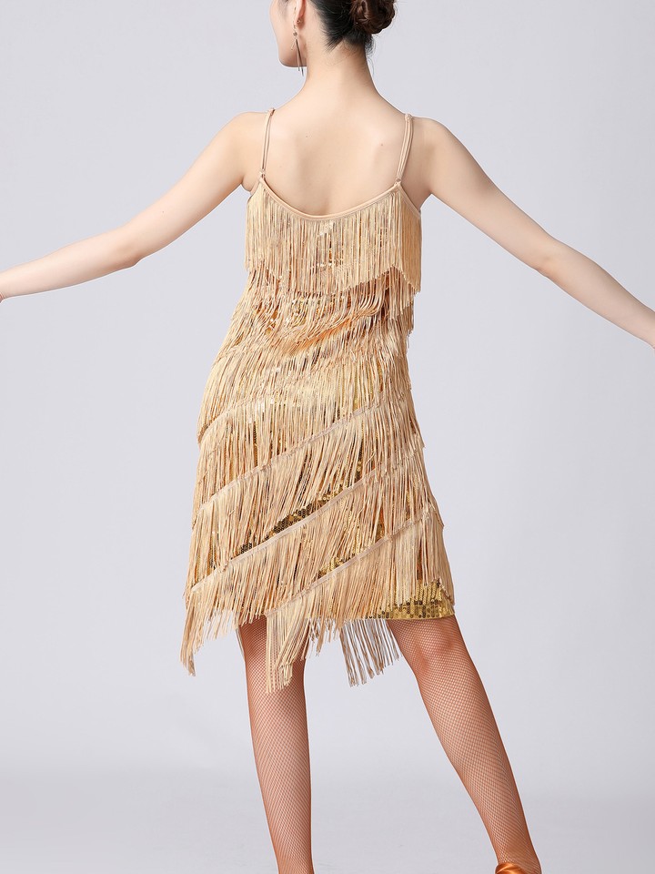Women Sequins Fringe Tassel Flapper Dress Samba Chacha Tango Latin ...