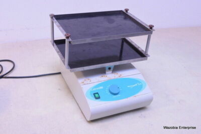 Shakers - Rocker Model