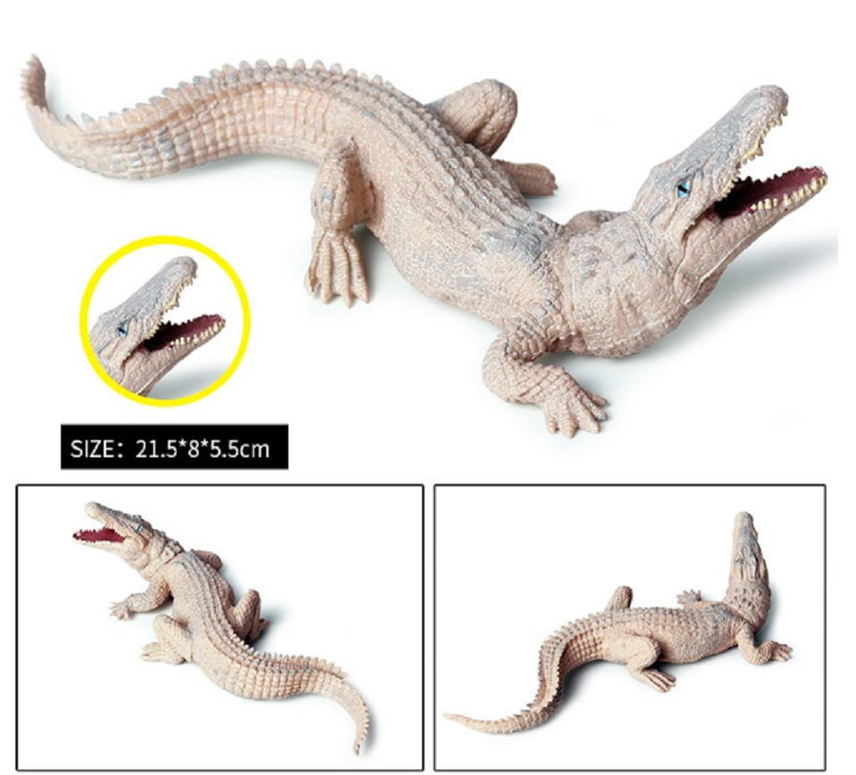 21.5cm Crocodile PVC Toy Ocean Sea Animal Figure Doll Kids Gift | eBay
