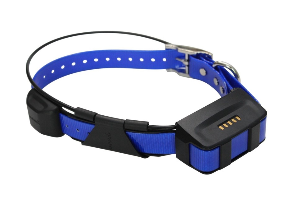 Garmin TT15 GPS Dog Tracking and Training Collar - Excellent Condition ...
