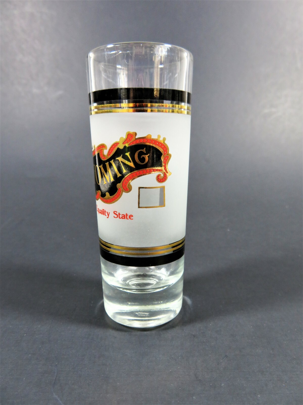 Tall Shot Glass Wyoming The Equality State 2 Ounce Gold Bands Frosted ...