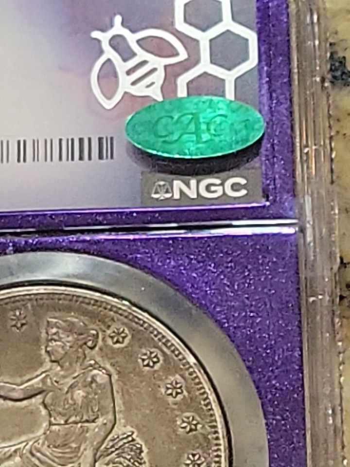 1876 S Trade Dollar NGC AU55 Green CAC Purple TraderBea Core | eBay