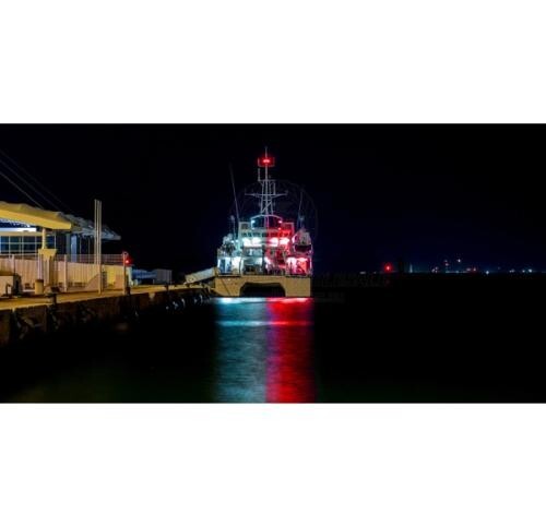 LED Flood Light Dual Colour White/Red with Anti-bug light Mako Series ...