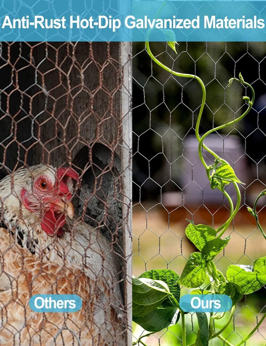 Chicken Protection Fencing LANNEY Galvanized Chicken Wire Fencing Mesh