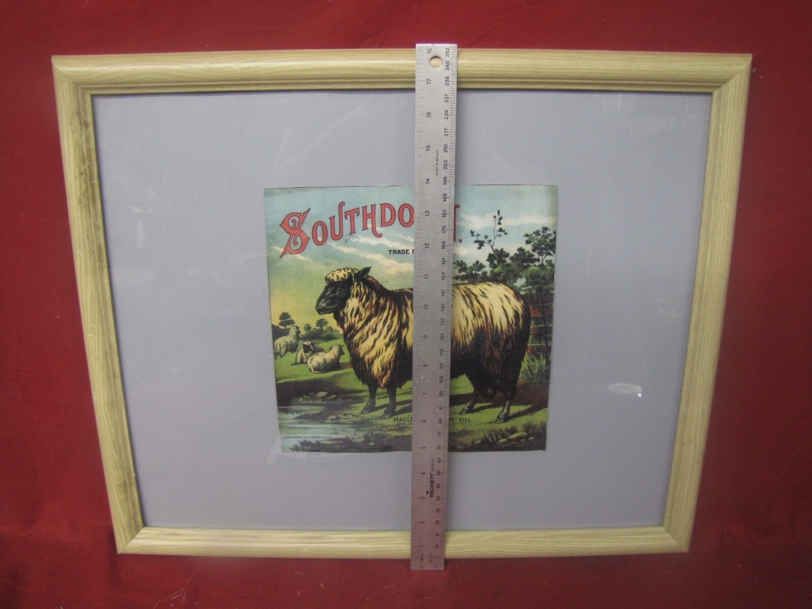 Framed Retro Vintage Southdown Sheep Advertisement | eBay