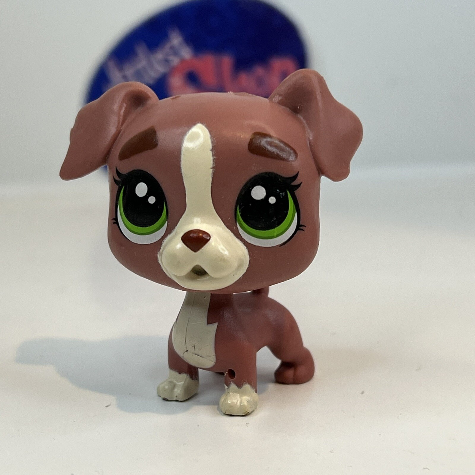 CALLA BOXTON BOXER DOG #129 - Authentic Littlest Pet Shop - Hasbro LPS ...