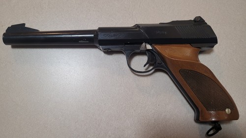 Vintage Daisy Model 200 CO2 Semi-Automatic BB Pistol | eBay