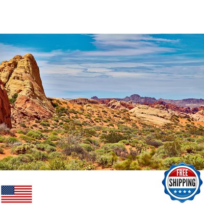 Reptile Tank Background Gobi Plants Desert Rocks Aquarium Background ...