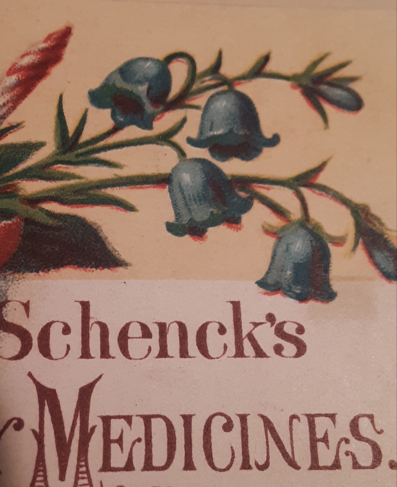 Antique Victorian Trading Card Schenck's Family Medicines, Flowers ...