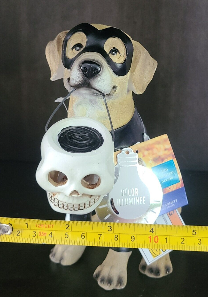 The Humane Society Trick Or Treating LABRADOR Dog Light Up Skull ...