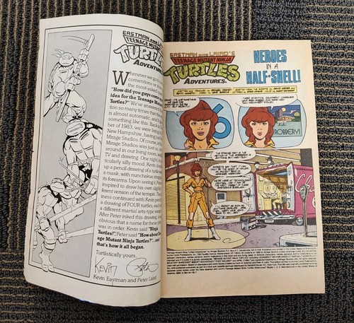 1989 Eastman and Laird's Teenage Mutant Ninja Turtles Hereoes in a Half ...