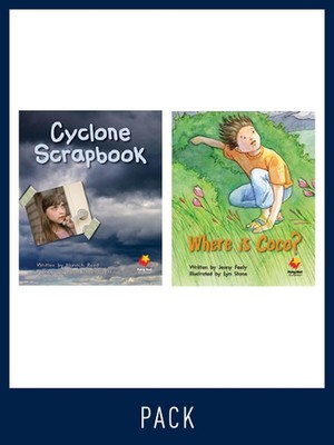Flying Start Guided Reading Pack Level 14, Pack 1: Paired student books ...