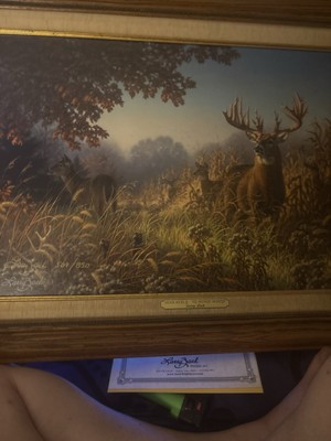 Larry Zach Mid West Monster Dream Bucks III | eBay