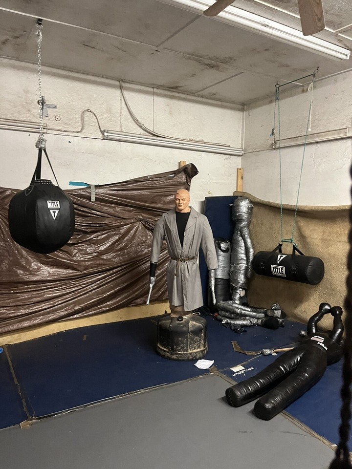 HEAVY Gaucho style bolas boleadoras hunting tool | eBay