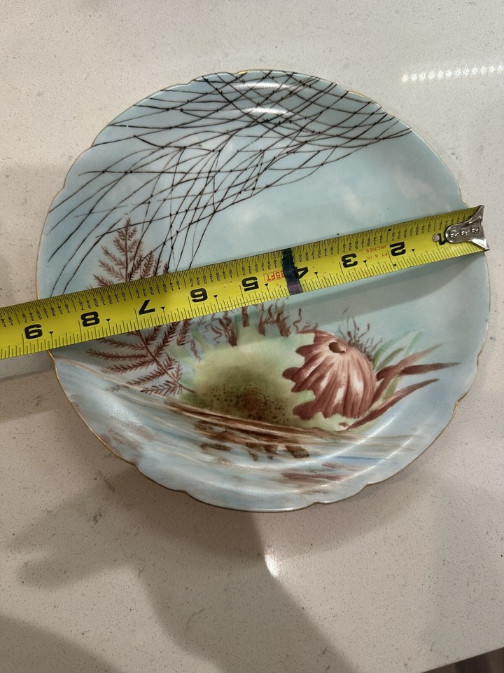 VTG Limoges Set Of 8 Shell/Net Motif Plates In MINT COND Amazing~ARTIST ...
