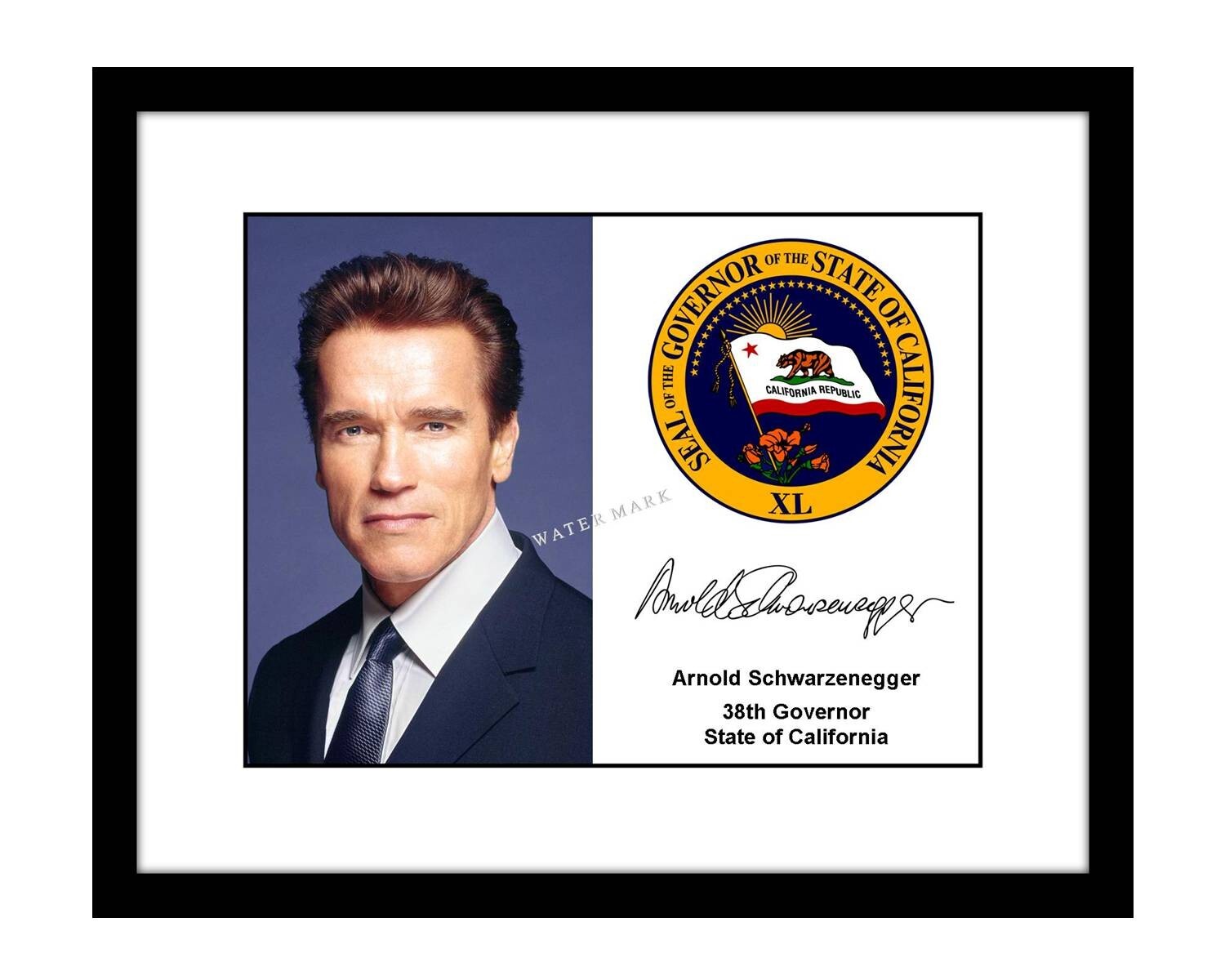 Arnold Schwarzenegger 8x10 Signed photo California governor seal ...