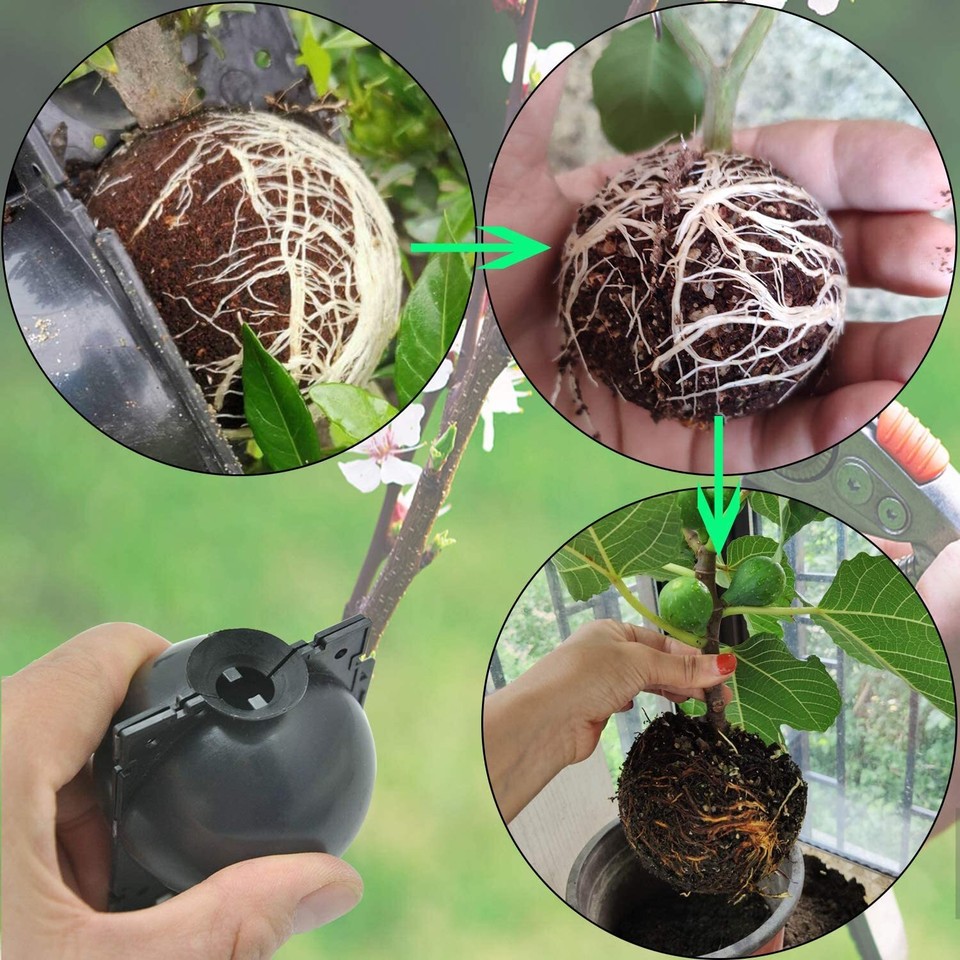 8PCS 8/12cm Plant Rooting Box Root Grafting Air Layering Pod High ...