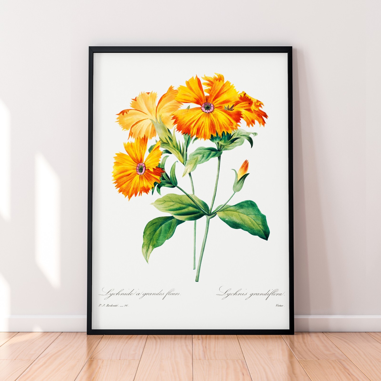 Botanical Flower Floral Retro Vintage Prints Poster Home Wall Art Decor ...