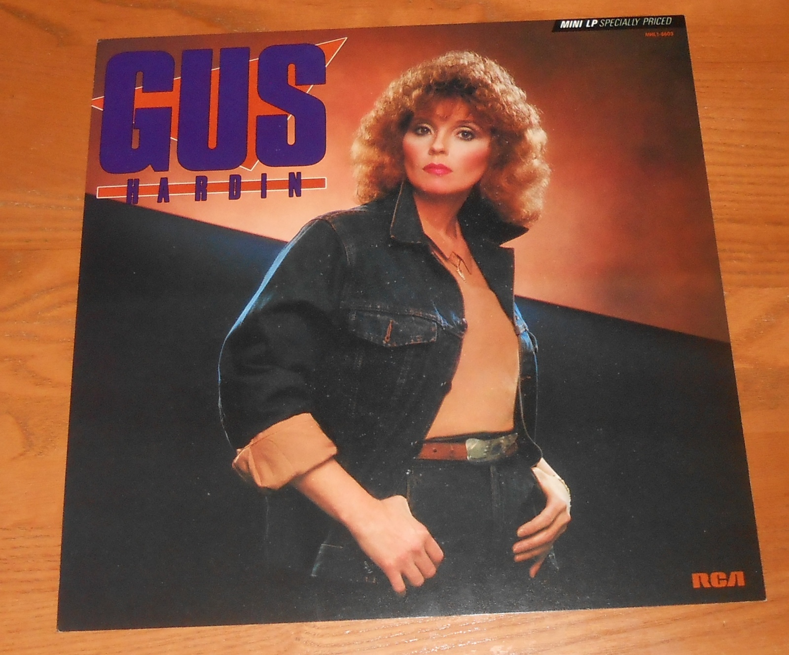 Gus Hardin Poster Flat Square Vintage Promo 12x12 | eBay