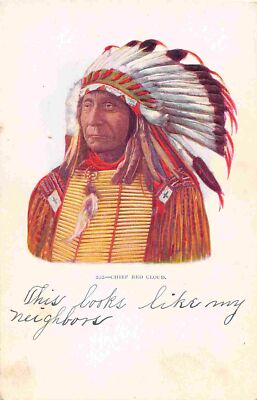 Chief Red Cloud Native American Indian 1905c postcard | eBay
