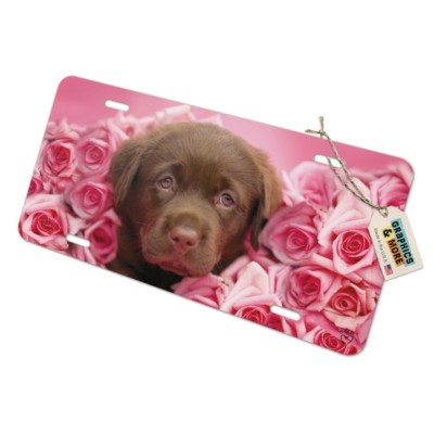 Chocolate Labrador Retriever Puppy Dog Metal Vanity Tag License Plate ...