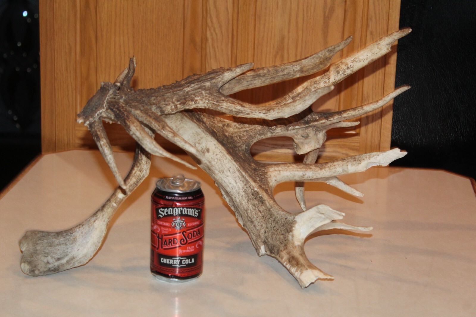 Droptine Drop Tine Whitetail Deer Shed Antler Mule Log Cabin Decor ...