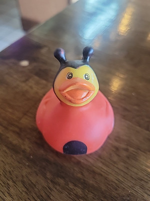 Lady Bug Red Black Rubber Duck 2" Ducky Toy Bath Pool Duck Duck Jeep ...
