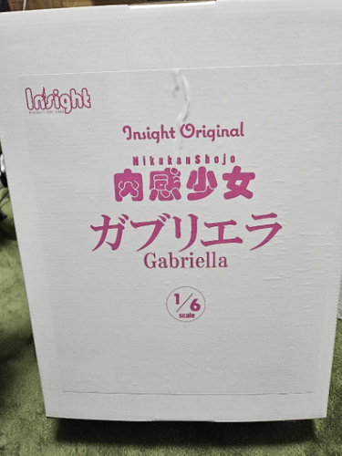 Insight Official Nikkan Girl Gabriella 1/6 scale Figure 87mm 2022 japan ...