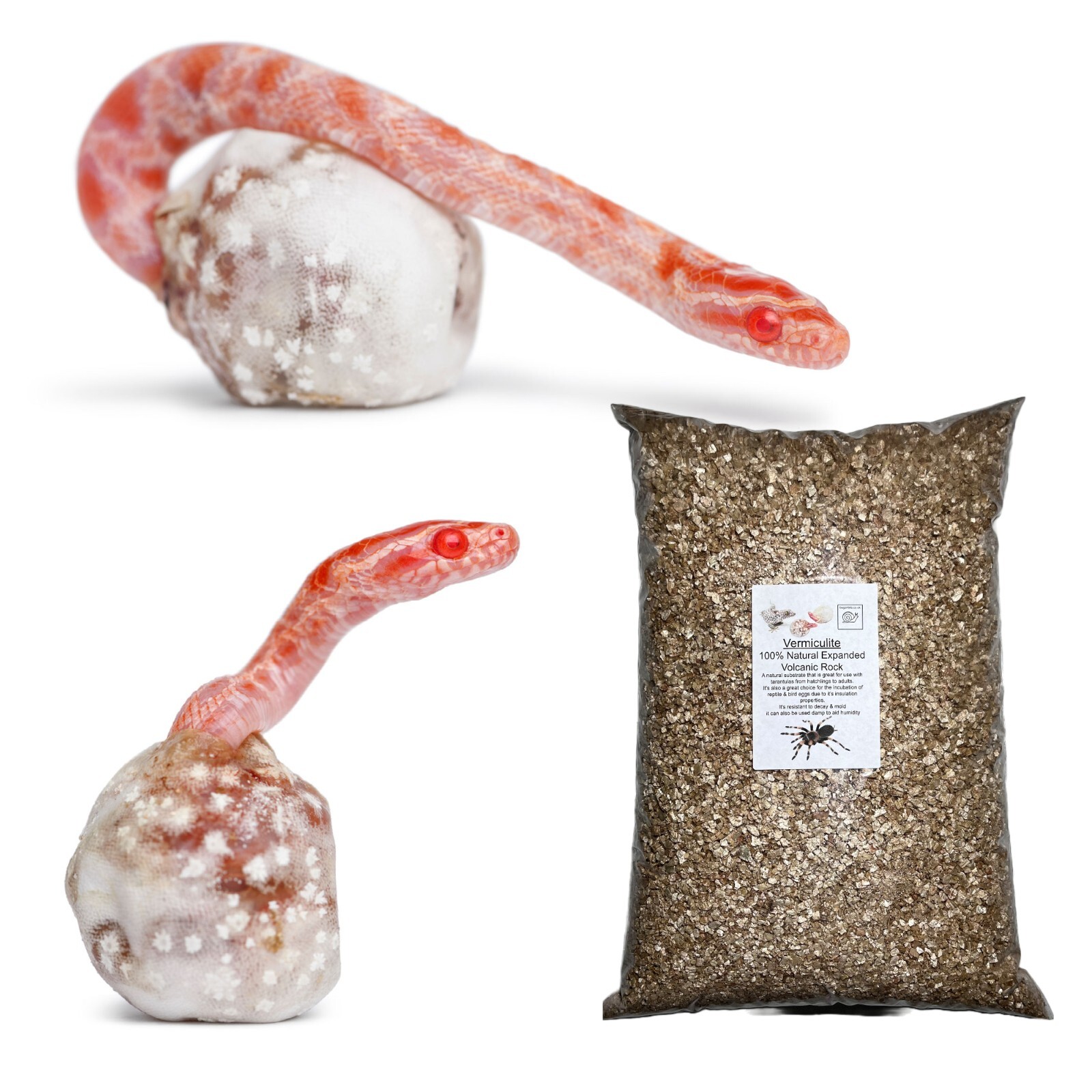 Vermiculite Reptile Egg Incubation, Natural Spider Substrate, Snake ...