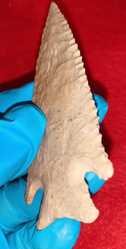Native American Artifact Pre 1600 Serrated Spear point Arrowhead | eBay