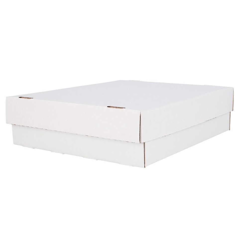 Lot Of 5-BCW Monster Storage Box (3,200 CT.) For Trading/Sports Cards ...