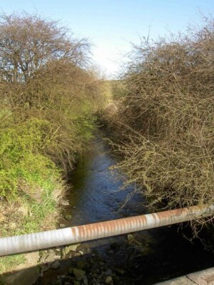 Photo 6x4 The River Went Thorpe Audlin From the bridge known as ...