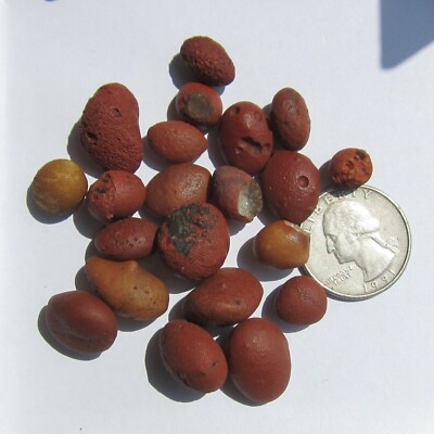 35Grams Natural Gobi agate/Jasper stone jinmai stone for Bonsai Suiseki ...
