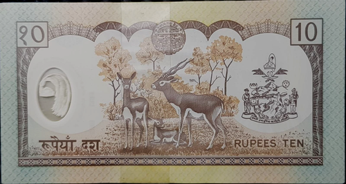 NEPAL 10 RUPEE Polymer Commemrative B/NOTE (99pcs) (+FREE 1 Bank note ...