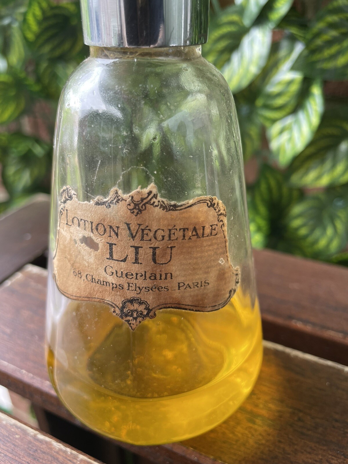 Lotion Vegetable Guerlain Liu Vintage RARE 1930’s 1940’s perfume | eBay