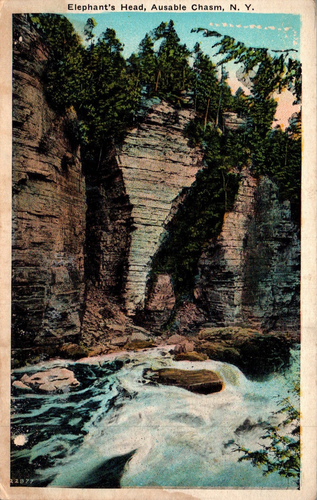 POSTCARD ELEPHANT'S HEAD AUSABLE CHASM NEW YORK | eBay