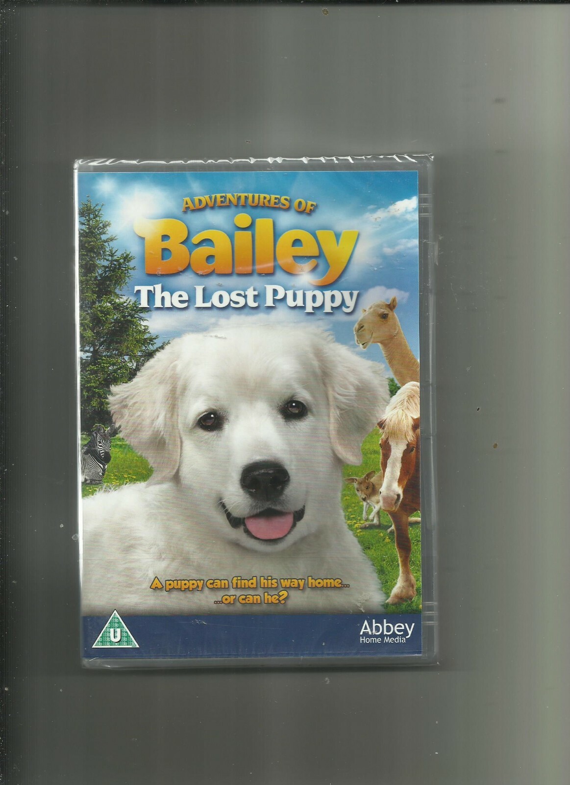 Adventures Of Bailey The Lost Puppy (DVD, 2015) for sale online | eBay UK