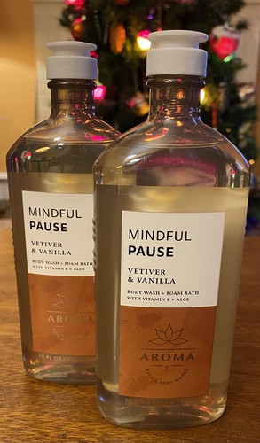 Bath & Body Works Aroma Mindful Pause Vetiver & Vanilla Wash + Foam ...