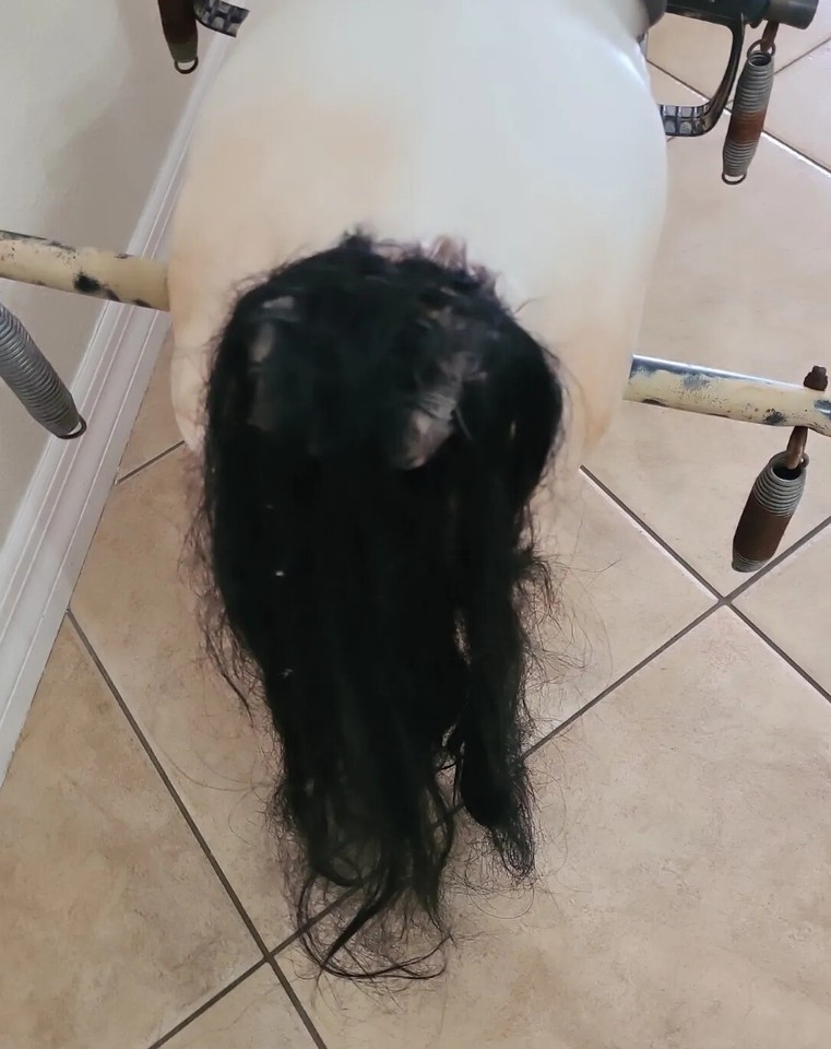 Vintage Wind Dancer Spring Rocking Bounce Ride Horse Blow Mold Parts Or ...