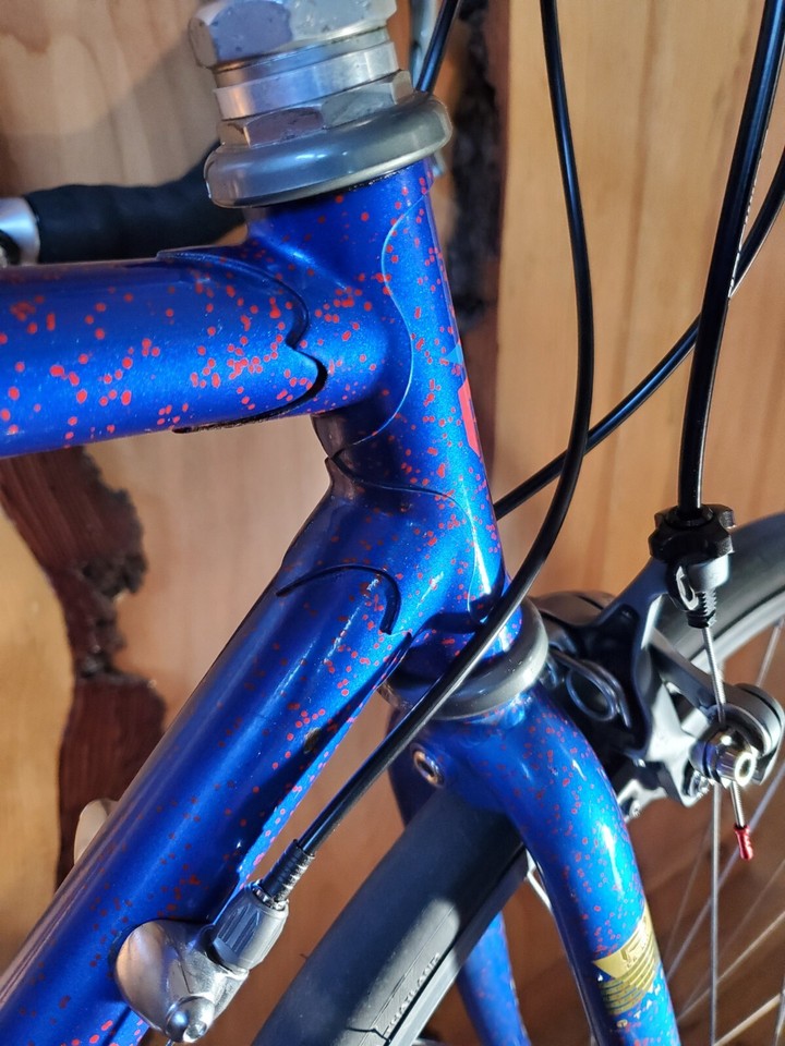 Schwinn Paramount PDG Tange tubing 55cm Road Bike 56cm Steel Ultegra ...